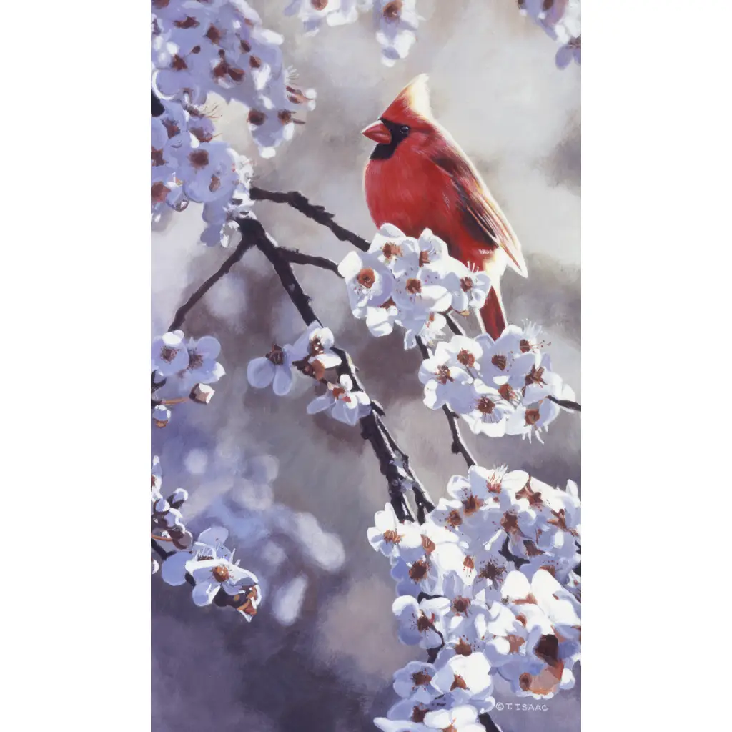Backyard bird decorative tile-Spring Light Cardinal-Tile Mural