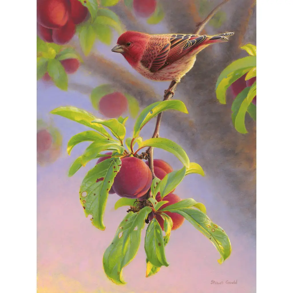 Backyard bird decorative tile-Purple Finch And Plums-Tile Mural
