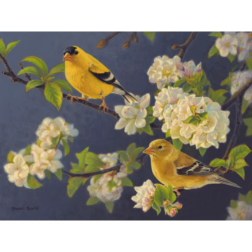 Backyard bird decorative tile-Orchard Finches-Tile Mural