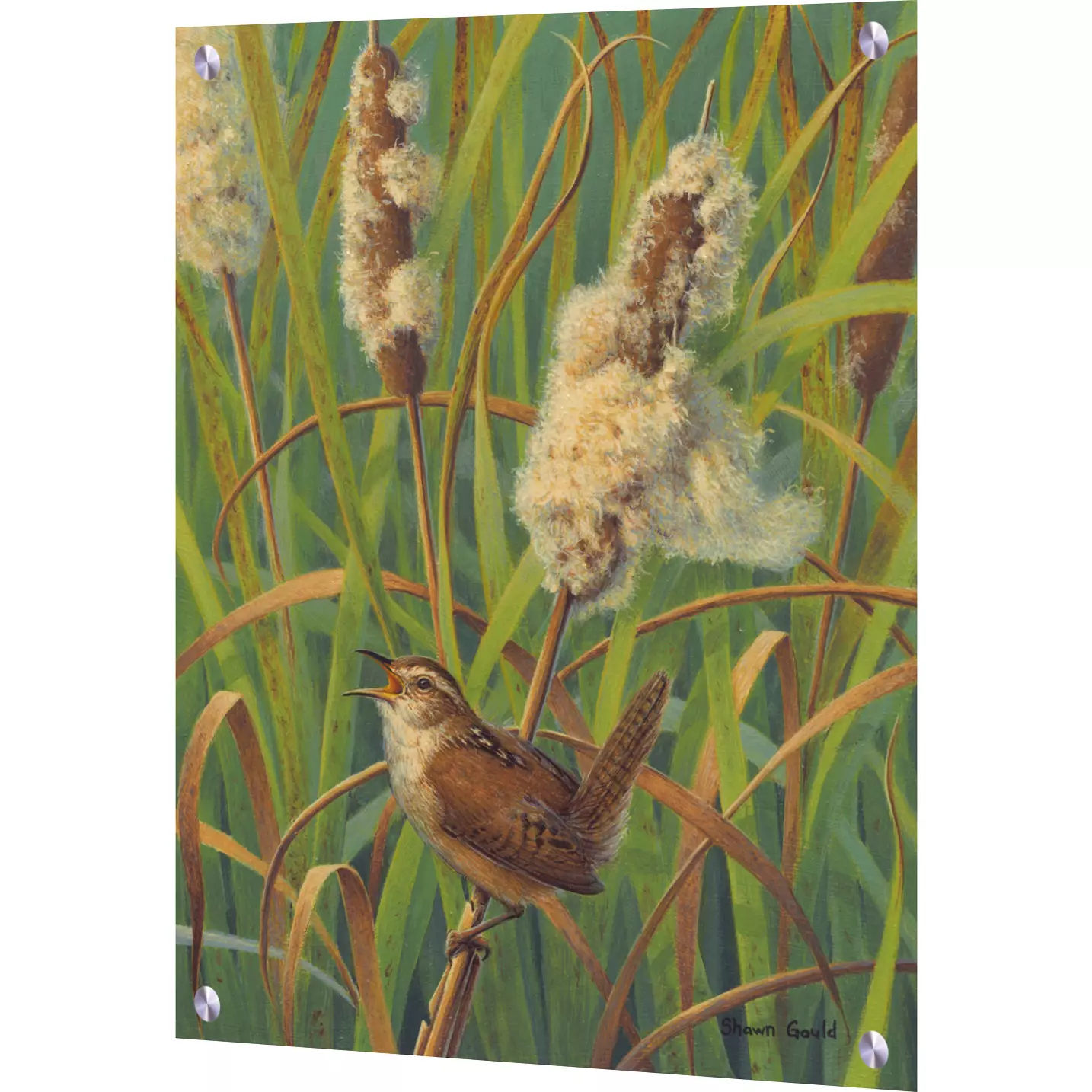 Backyard bird decorative tile-Marsh Song-Tile Mural