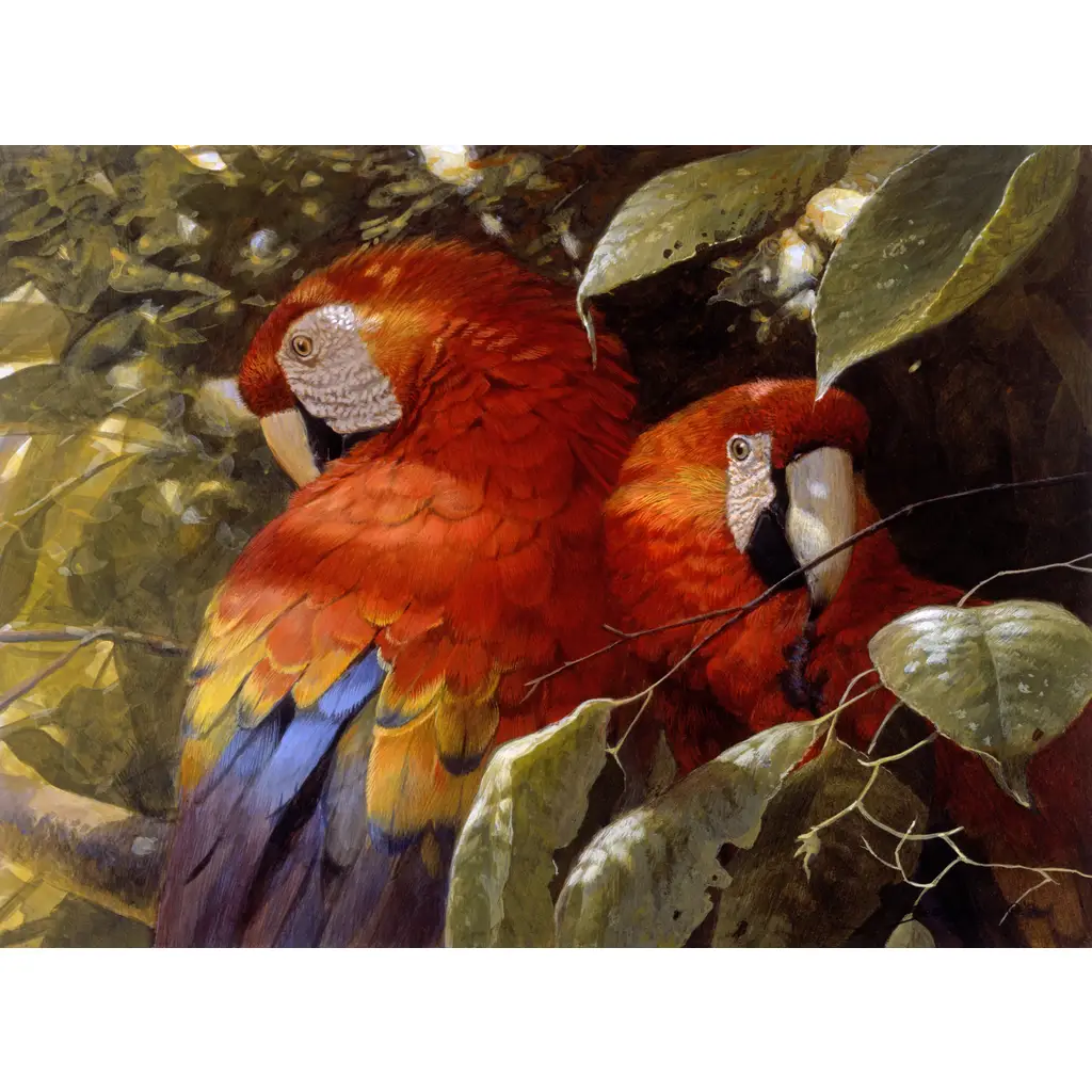 Tiles with tropical birds-Macaw Pair-Tile Mural