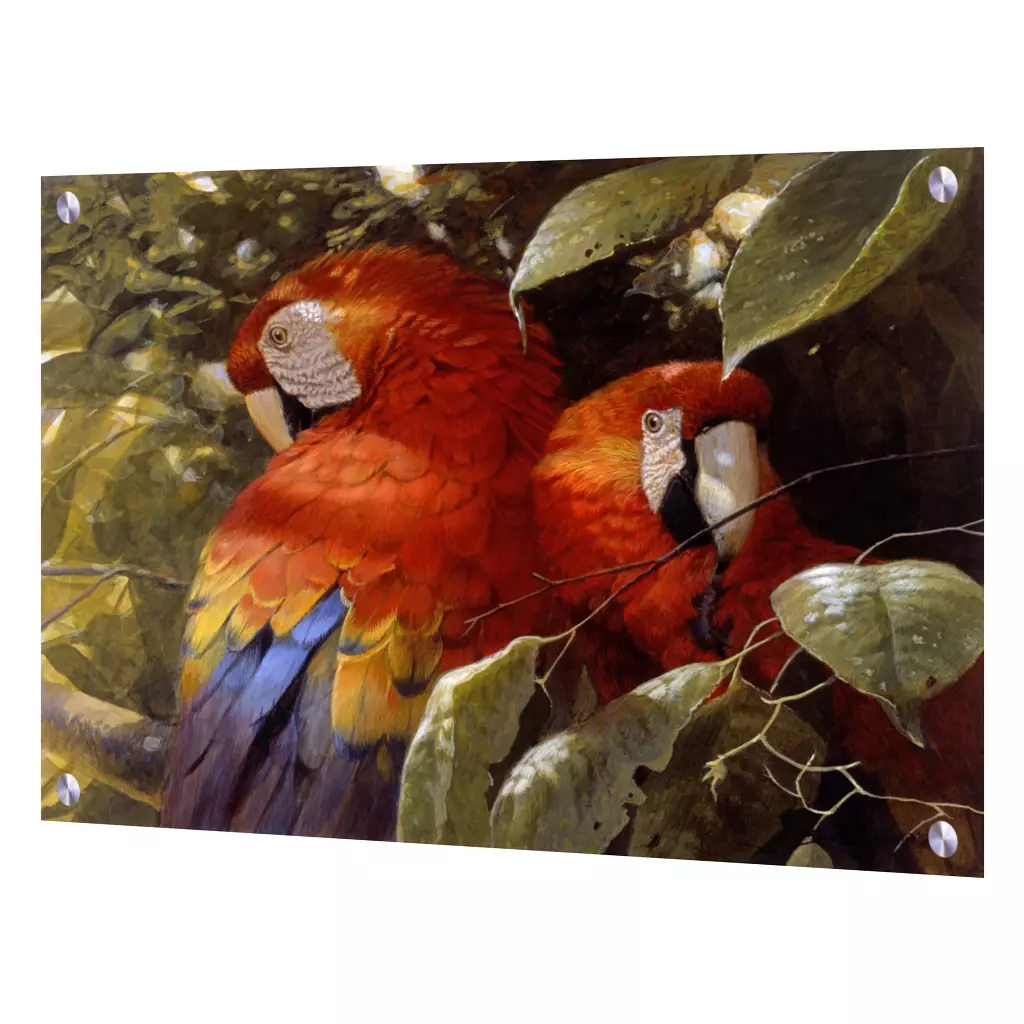 Tiles with tropical birds-Macaw Pair-Tile Mural