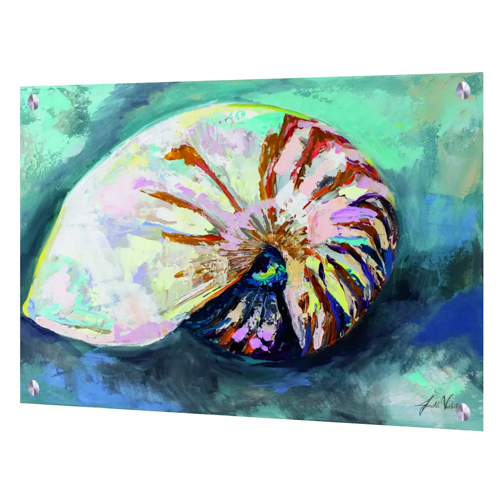 Decorative shells on tile-Nautilus Shell-Tile Mural