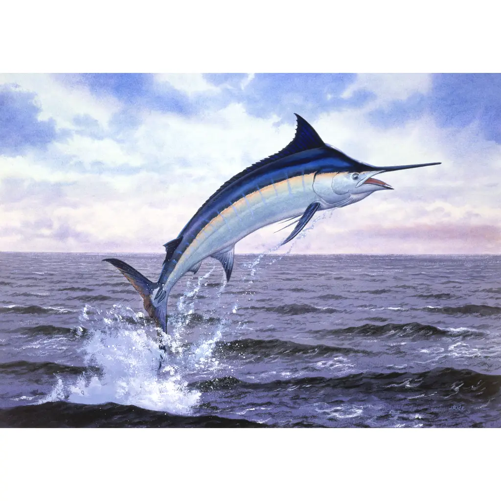 Saltwater fish art-Marlin-Tile Mural