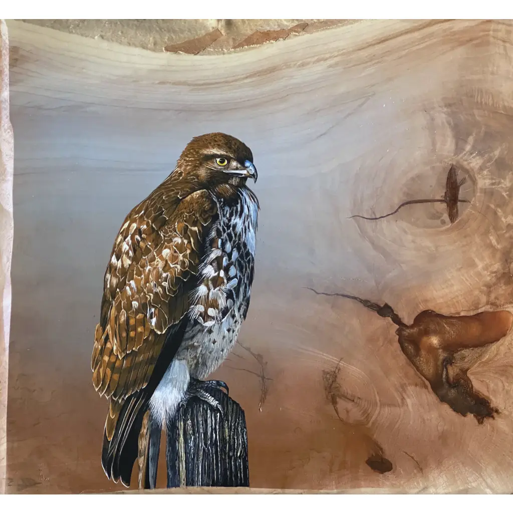 Tile Mural - Redtail Hawk - Tile Mural