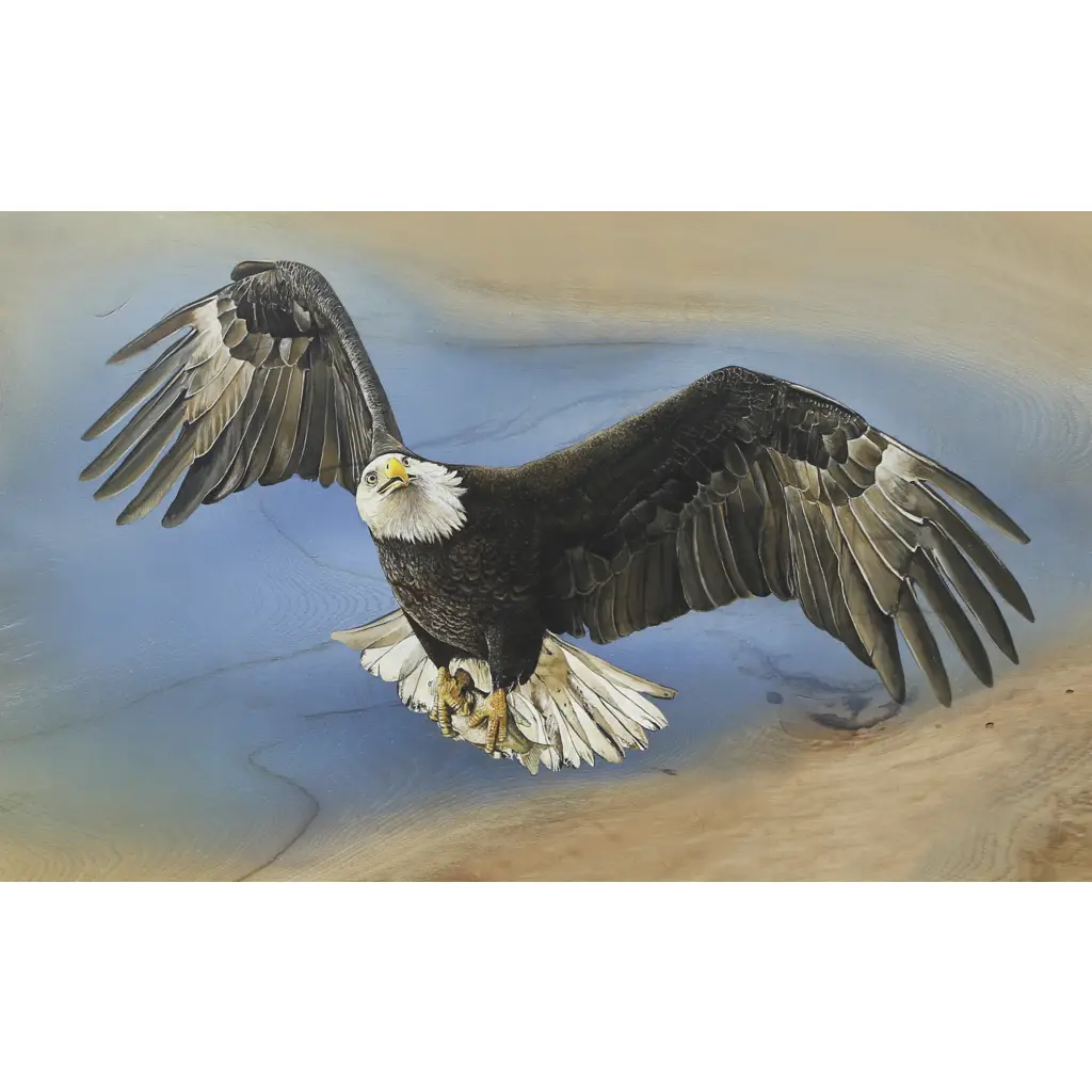 Tile Mural - Soaring Bald Eagle - Tile Mural