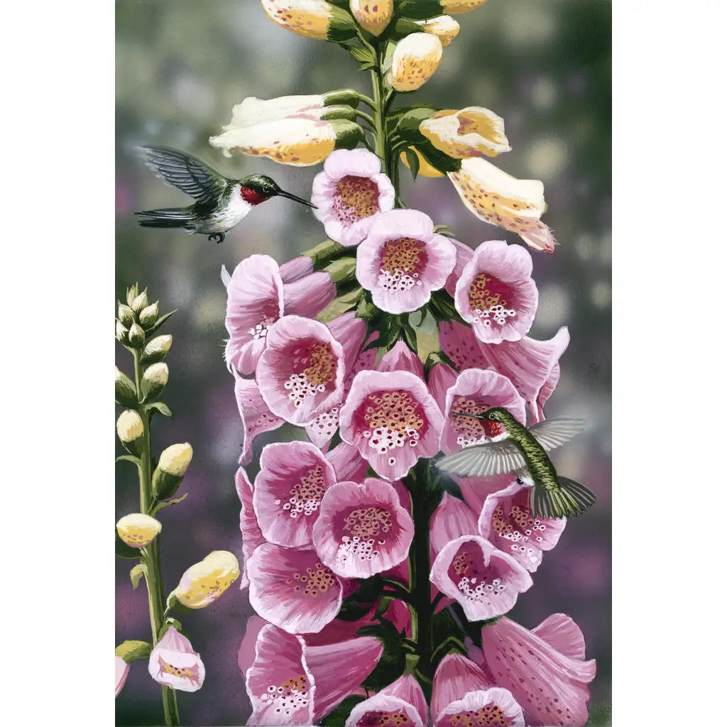 Hummingbird art for tiles-Hummingbirds-Foxgloves-Tile Mural