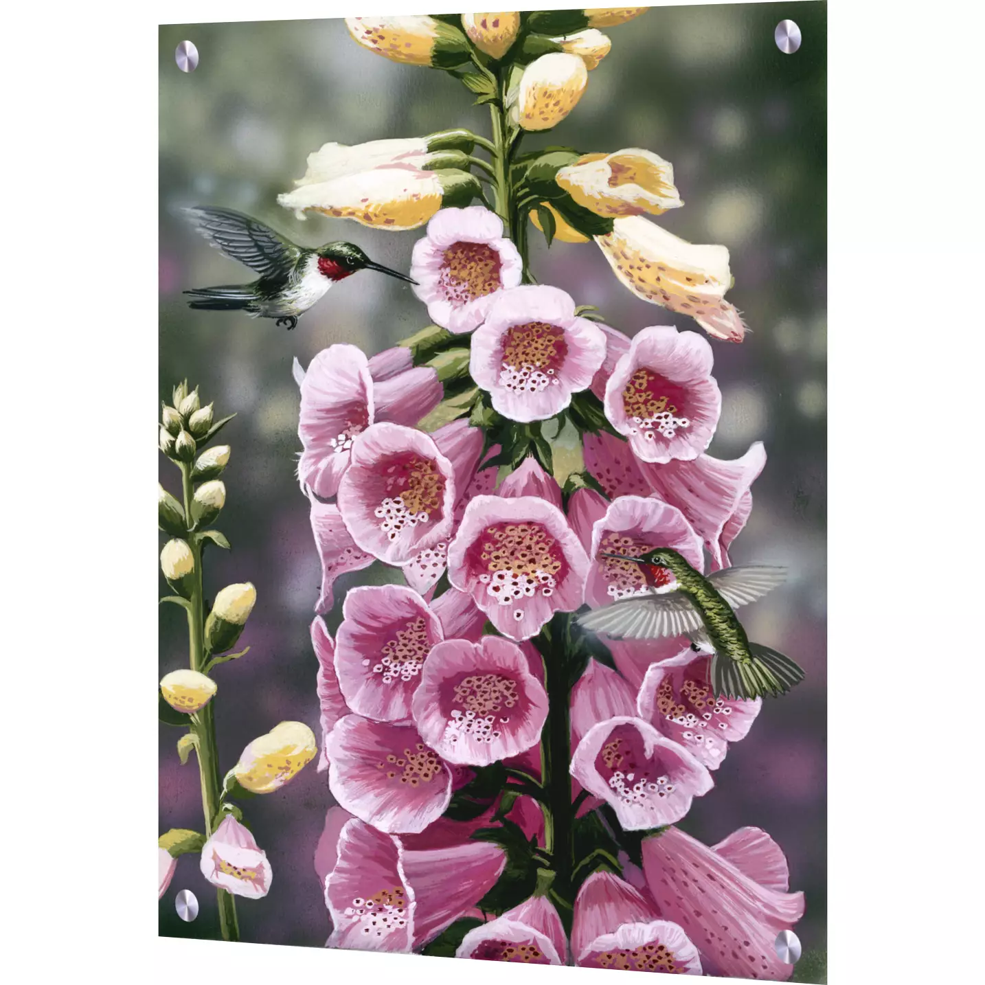 Hummingbird art for tiles-Hummingbirds-Foxgloves-Tile Mural