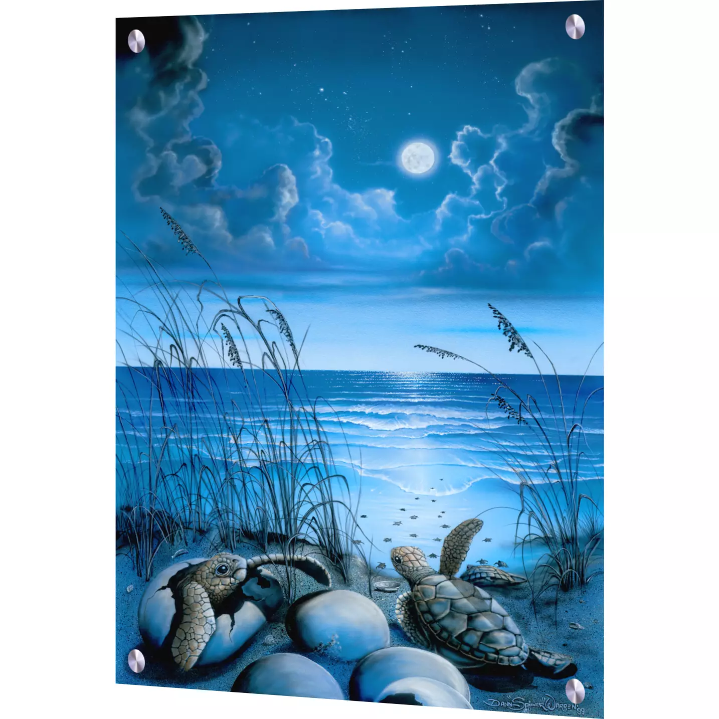 Sea Turtles/Rays on tile-The Great Escape-Tile Mural