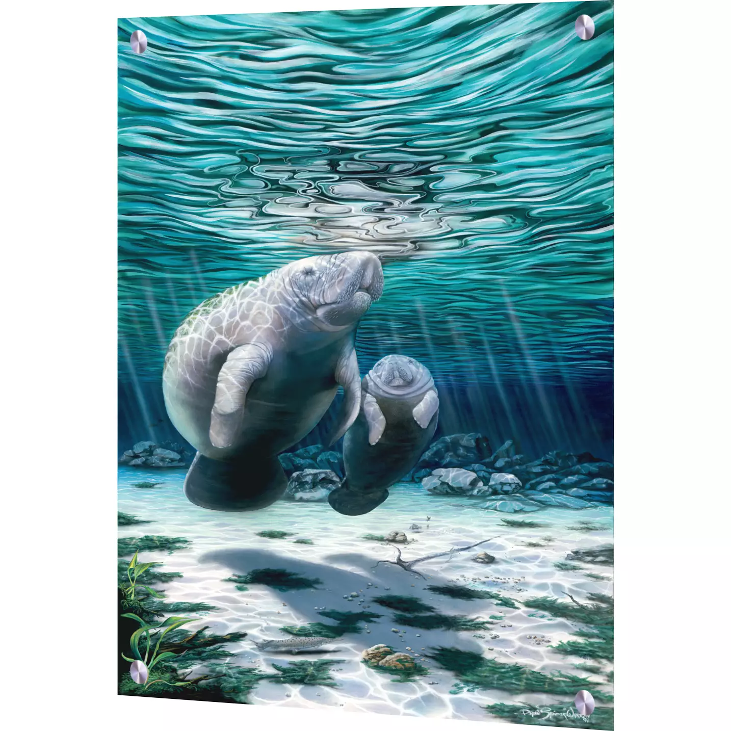 Mermaids/Manatees on tile-Mermaids of Crystal River-Tile Mural