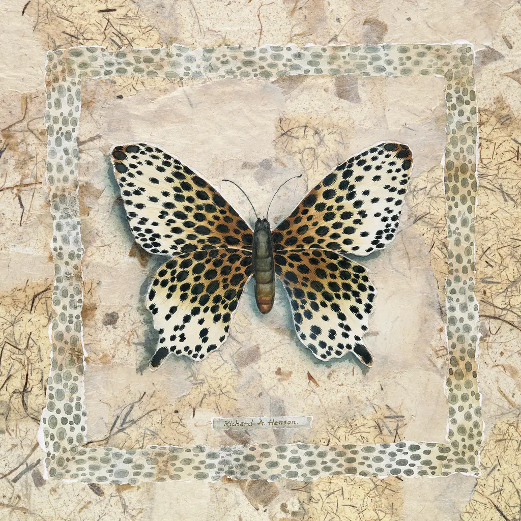 Butterfly tiles-A Little Cheetah-Tile Mural