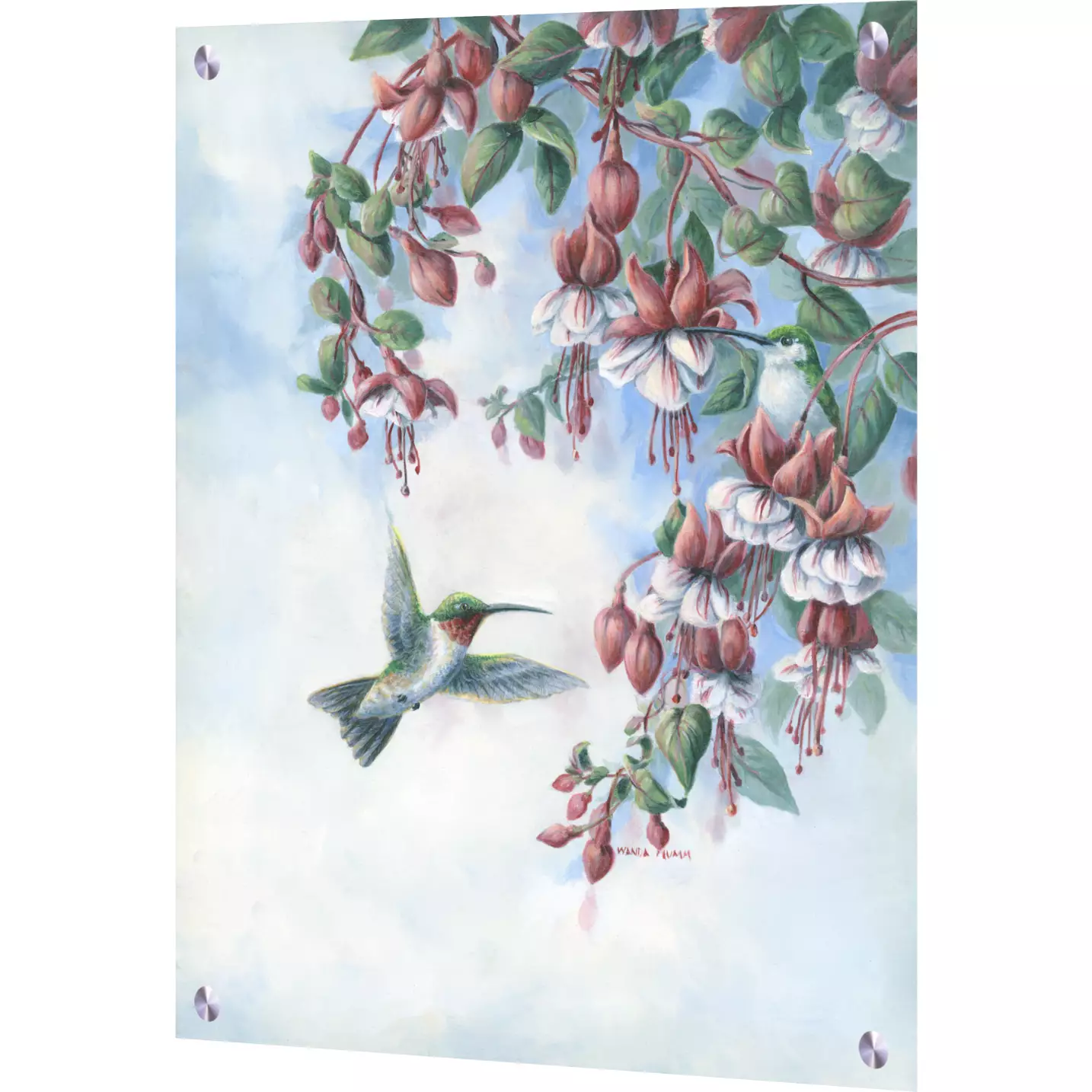 Hummingbird art for glass tiles-Hummingbird D-Art Glass Backsplash