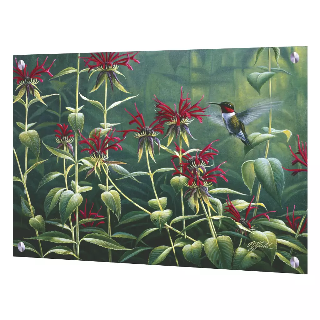 Hummingbird art for glass tiles-Ruby Throat Hummingbird-Art Glass ...