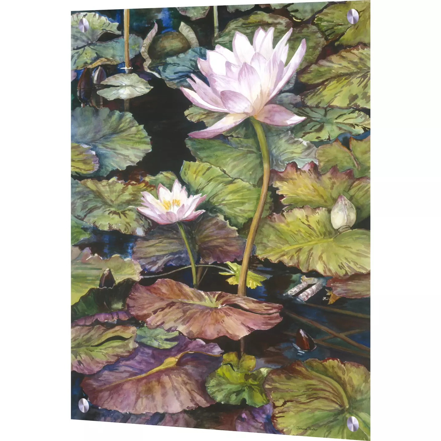 Flowers on glass tile-Water Lilies-Art Glass Backsplash